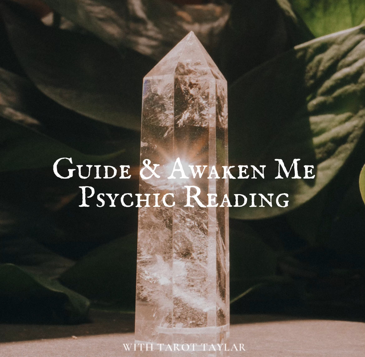 Guide & Awaken Me Psychic Reading – SoulPath Tarot with Taylar